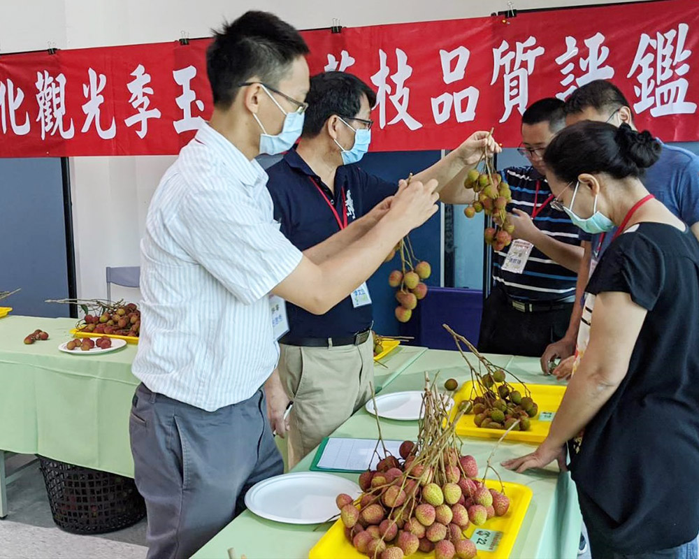 訊息公告內容 金旗山城旗山糖廠社區｜高雄一日農夫diy行程｜旗山老街美食伴手禮
