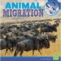 Animal Migration - 文鶴網路書店
