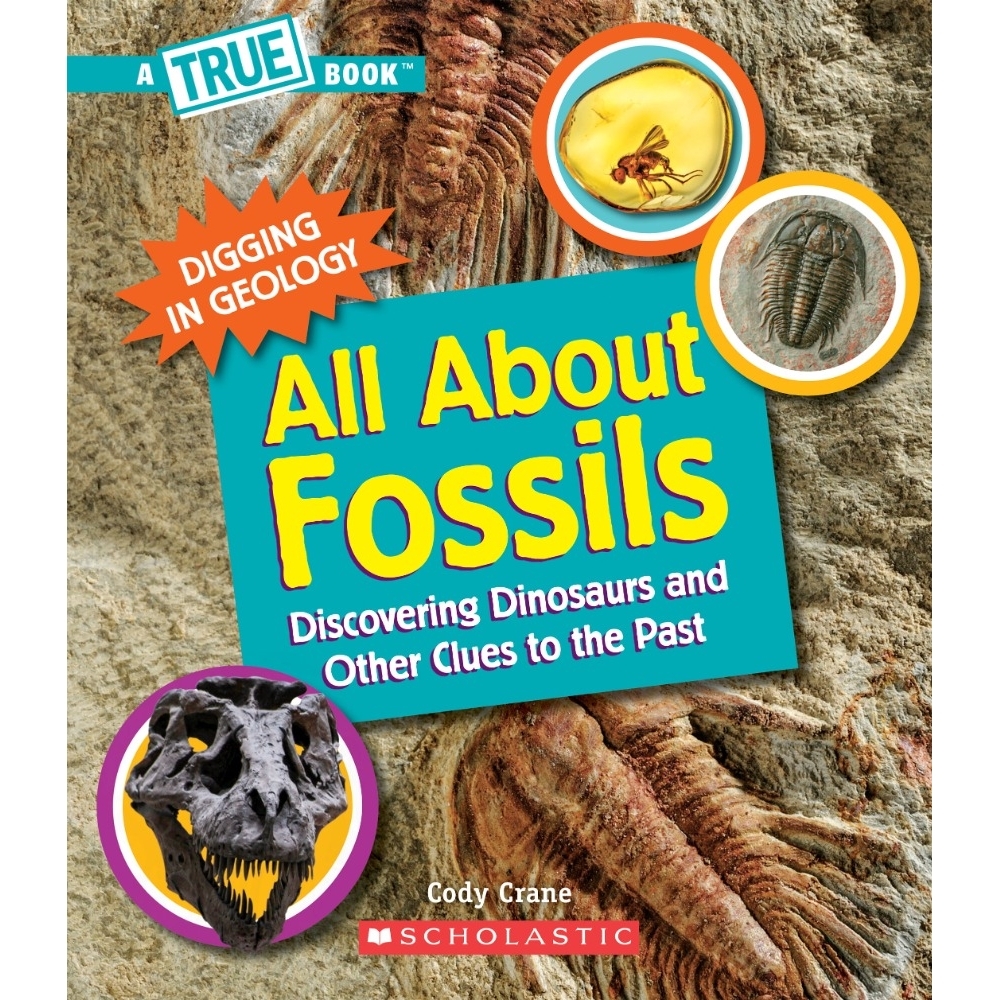 All About Fossils (A True Book: Digging in Geology) - 文鶴網路書店